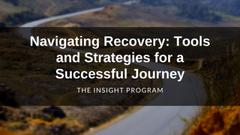 Navigating Recovery: Tools and Strategies for a Successful Journey ...